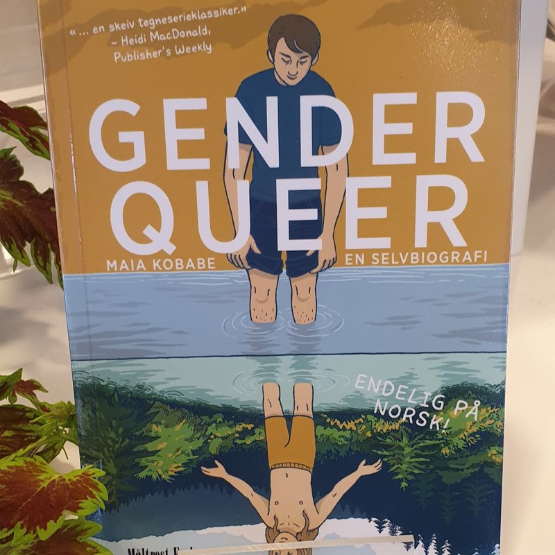 Gender Queer - Valdresbiblioteka